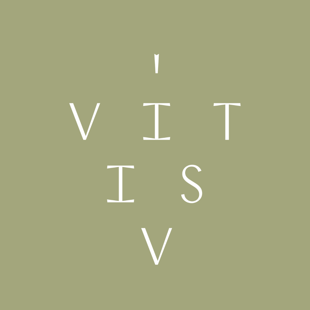 Welcome to The Lab. – Vitis V