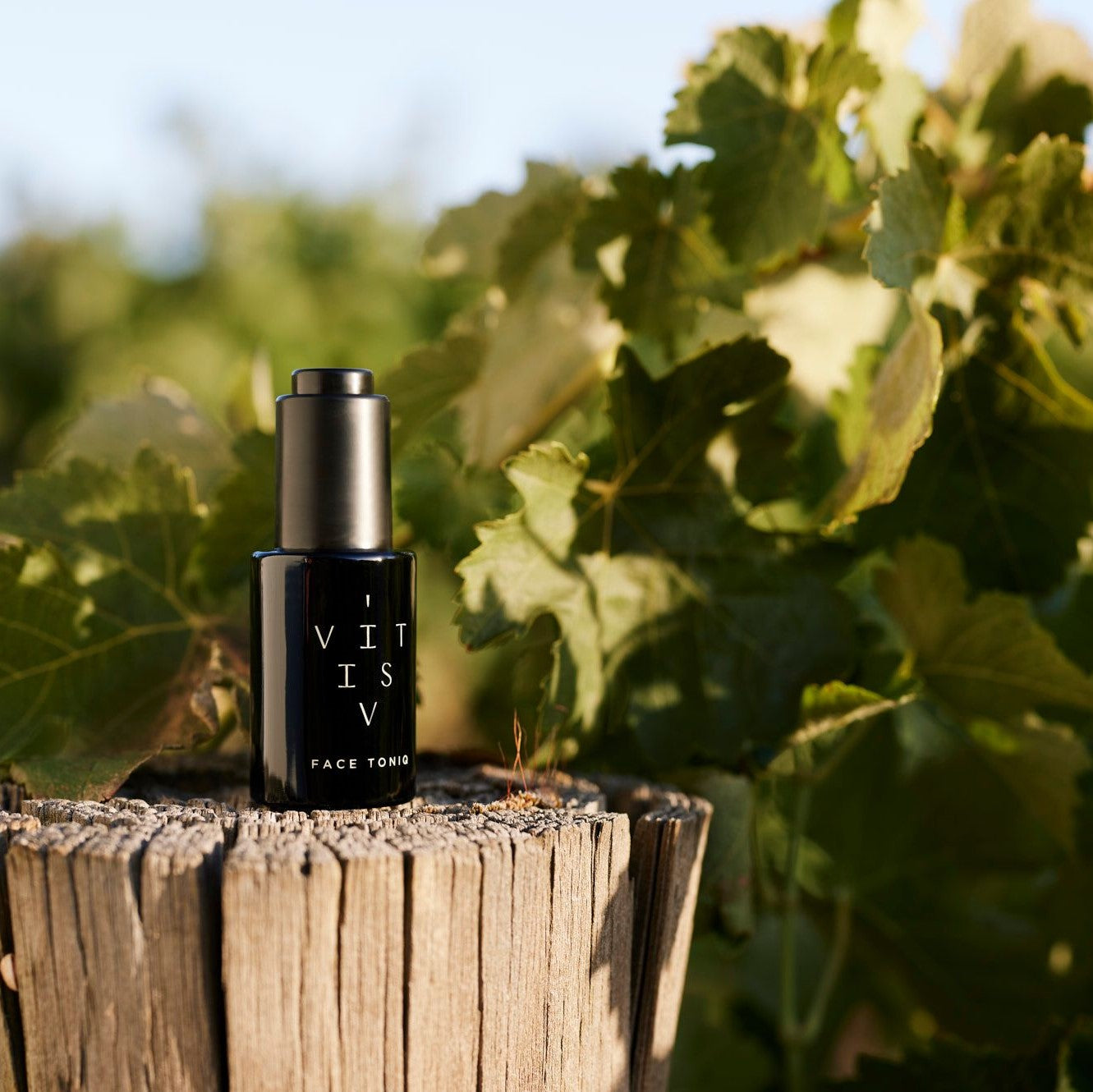 Adopting the First Principle of Skincare: Do No Harm. Preservatives; n ...